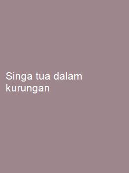 Singa tua dalam kurungan