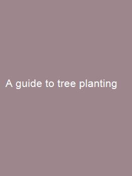 A guide to tree planting